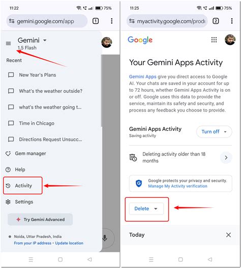 How To Remove Your Activity From Gemini