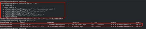 Docker 安装 Nginx 容器，反向代理docker Compose Nginx Csdn博客