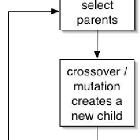 2 A Common Algorithm For Steady State Genetic Algorithms Download Scientific Diagram