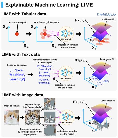 Mikel K Ngueajio On Linkedin Ai Explainableai Lime Ethicalai Machinelearningalgorithms