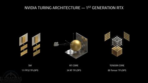 Nvidia Detalla Toda La Información Que Se Esconde Detrás De La Arquitectura Ampere De Las