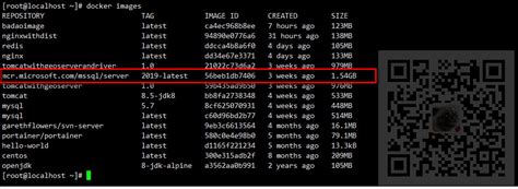 Centos中使用docker安装sqlserver以及遇到的那些坑 霸道流氓 博客园