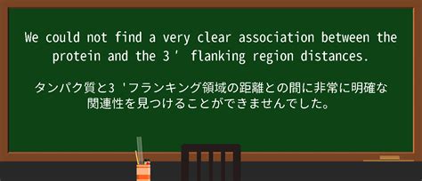 【英単語】flanking Regionを徹底解説！意味、使い方、例文、読み方