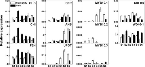 Real‐time Quantitative Pcr Analysis Of Anthocyanin Biosynthetic Genes Download Scientific