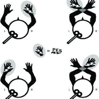 Test Conditions Used In The Experiment In Conjunction To TMS Delivered Download Scientific