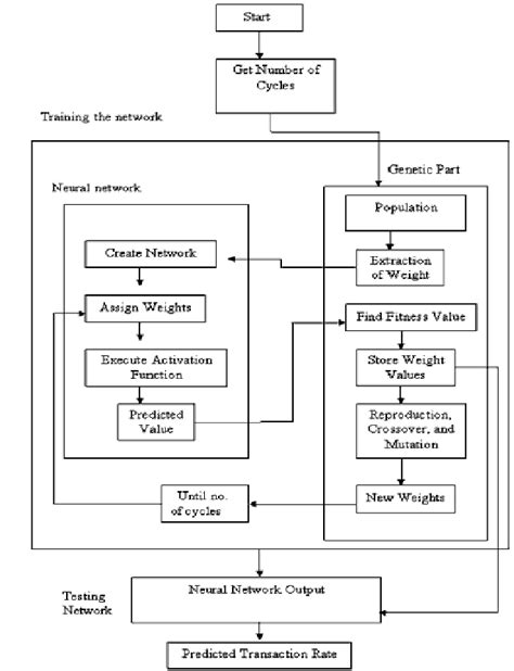 Flow Diagram For Initial Weight Optimization Download Scientific Diagram