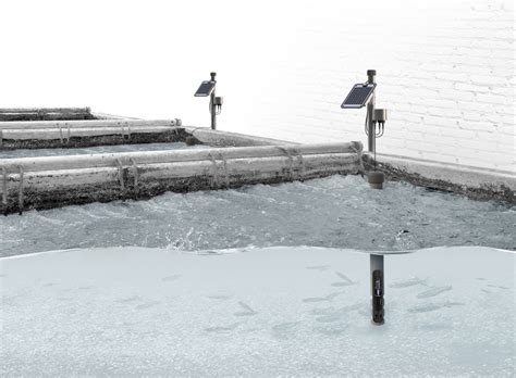 Recirculating Aquaculture Ras Monitoring Nexsens