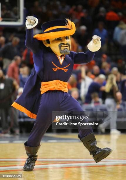 University Of Virginia Cavaliers Mascot Photos And Premium High Res