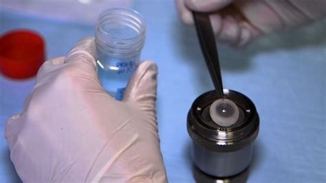 Video Full Field Optical Coherence Microscopy For Histology Like