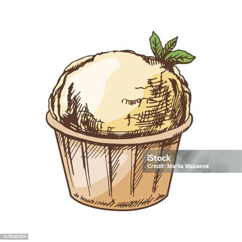 아이스크림의 손으로 그린 컬러 스케치 컵에 민트가 든 컵 케이크 빈티지 그림입니다 라벨 포장 및 엽서 디자인을위한 요소 고풍스런에 대한 스톡 벡터 아트 및 기타 이미지