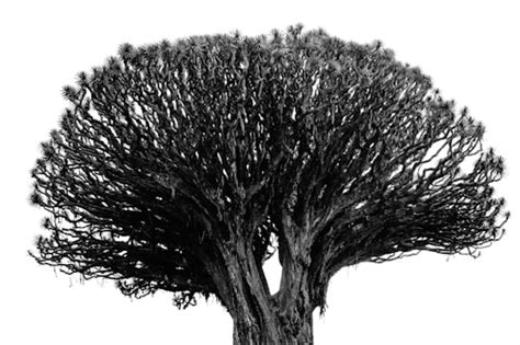 The Ultimate Guide To Recursion Trees