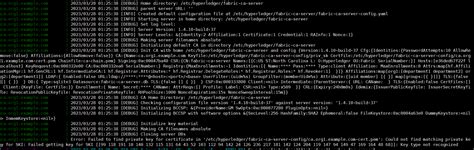 Node Cannot Start · Issue 4116 · Hyperledgerfabric · Github