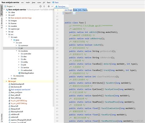 Springboot整合百度人脸识别sdk离线版操作步骤，windows发布打包springboot百度人脸识别sdk项目，以及解决百度人脸