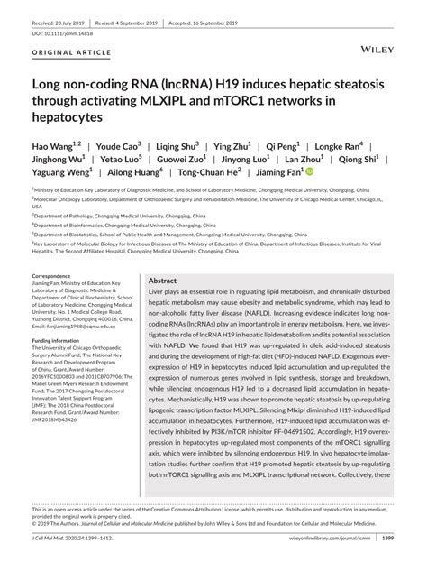Pdf Long Non Coding Rna Lncrna H19 Induces Hepatic Steatosis