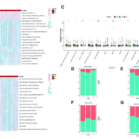 Single Cell Data Analysis Of Key Genes A T Sne Plot Of 8 Cell Download Scientific Diagram
