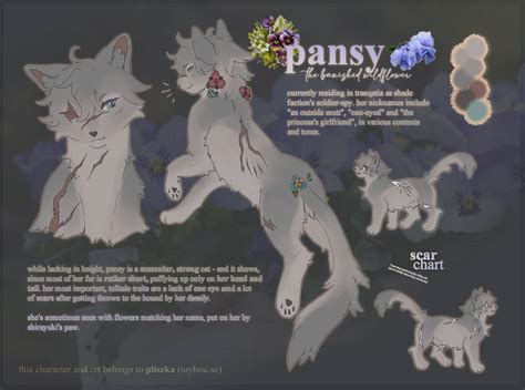 Pansy Reference By Pllszka On Deviantart