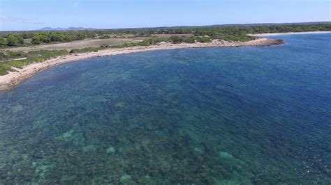 Beach Es Dofí Mallorca