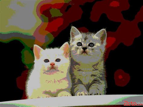 python图像处理库pil的imageops模块介绍 一些基本的图像操作 csdn博客