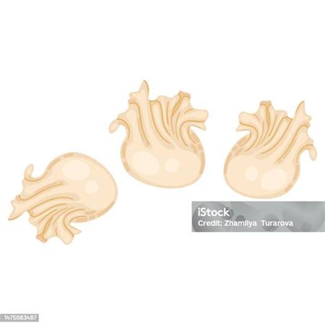 귀여운 만화 만두 벡터 그림 전통 중국 만두 벡터 일러스트 레이 션 클립 아트입니다 인사말 카드 포스터 스티커 및 계절 디자인을