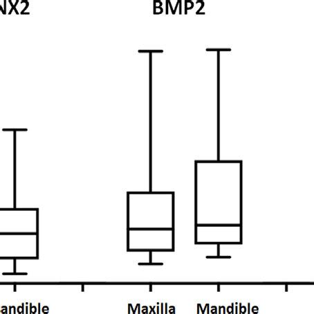 RUNX2 BMP2 And MSX1 Relative Gene Expression For Bone Samples From Download Scientific