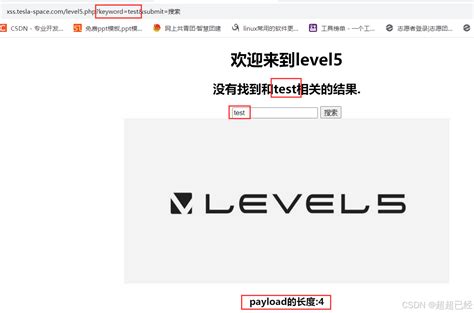 信息安全毕业实训实习 day4 永久跨站型 存储型 csdn博客
