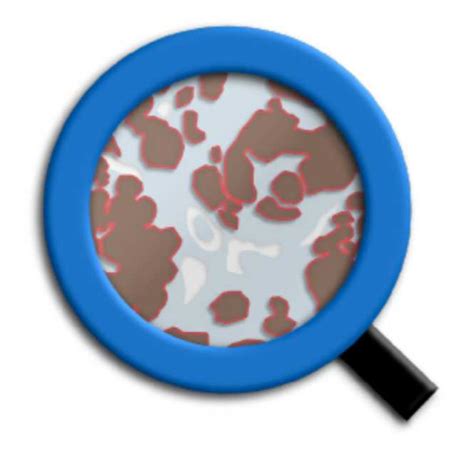Qupath Immunofluorescence Cell Detection And Co Localization Protocol