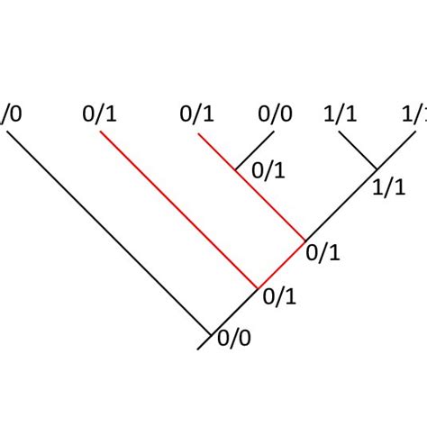 Ancestral State Reconstruction Under Polymorphism Parsimony The