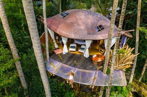 Best Ubud Treehouse Hotels In Bali Top Treehouses