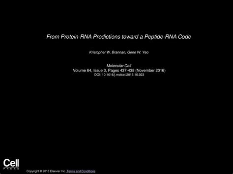 From Protein Rna Predictions Toward A Peptide Rna Code Ppt Download