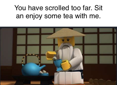 Sensei Wu Falling Cartoon