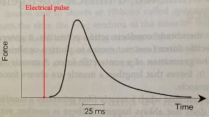 Midterm Flashcards Flashcards Quizlet