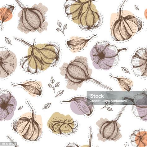 흰색 바탕에 마늘과 양파 손으로 그린 음식 그림 벡터 완벽 한 패턴 0명에 대한 스톡 벡터 아트 및 기타 이미지 0명 농장 마늘 Istock