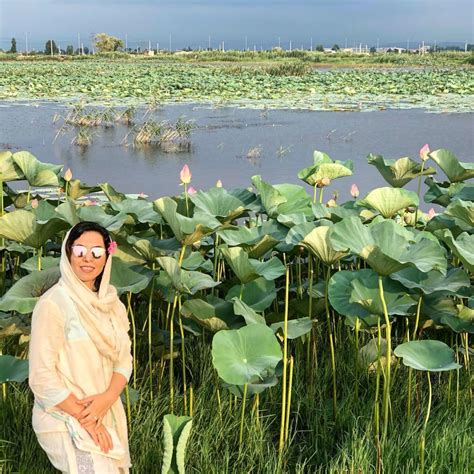 مرضیهشهرامی