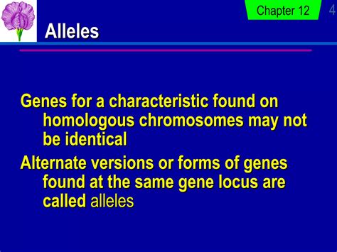 Patterns Of Inheritance Modified Ppt