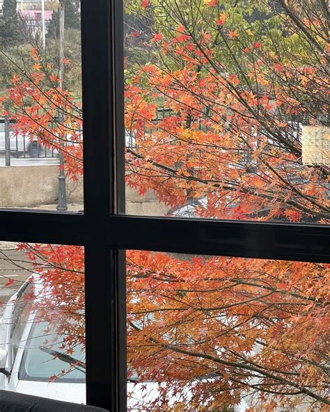 წმინდა იოანე მოწყალის სახელობის პრივატ კლინიკა Home Facebook