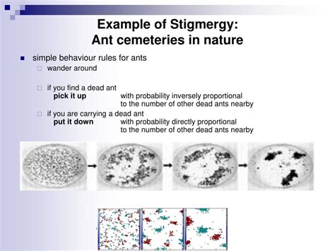 Ppt Topic 6 Stigmergy Swarm Intelligence And Ant Algorithms