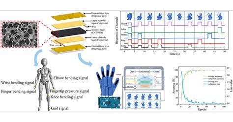 Wearable And Cost Effective Pressure Sensor Based On A Carbon Nanotube Polyurethane Sponge For