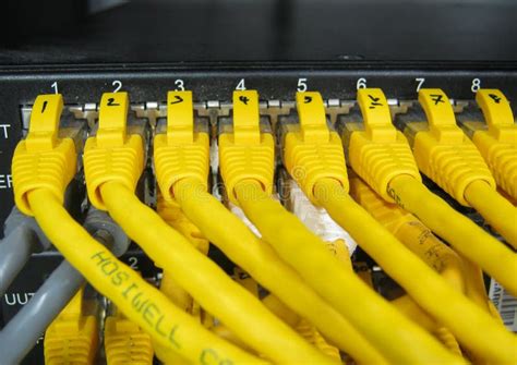 Ethernet RJ45 Cables Are Connected To Internet Switch Stock Photo Image Of Detail Interface