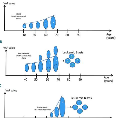 High Risk And Low Risk Pre Leukemic Somatic Mutations X An Acquired Download Scientific