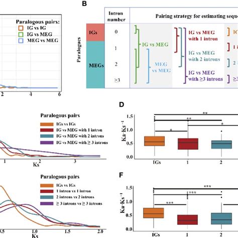 Distribution Of The Ks And Ka·ks −1 Values For The Paralogous Pairs In Download Scientific