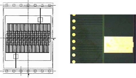 Figure From Bias HAST On Tape Ball Grid Array TBGA Test Pattern Semantic Scholar