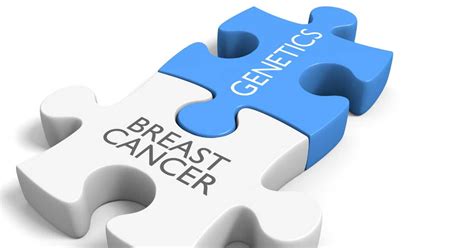 Brca Mutations Exploring Cancer Risk And Genetic Testing