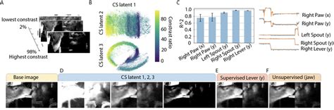 a simulated dataset behavioral videos from one mouse with