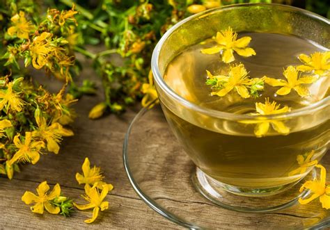 St Johns Wort And Magnesium Interaction At Jackie Proctor Blog