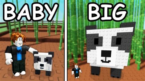 Codes Actifs Pour Cultiver Un Jardin Sur Roblox