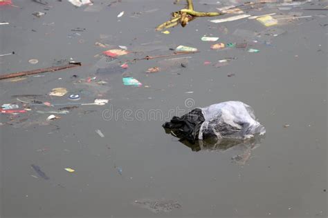Garbage Floating Water Surface Stock Photos Free Royalty Free Stock Photos From Dreamstime