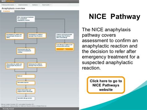 Guia Nice Sobre Anafilaxia Implementacion
