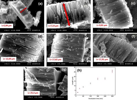 Sem Cross Section Images And Lengths Of Tio2 Nts At Different Download Scientific Diagram