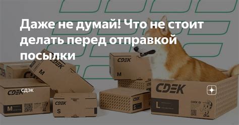 Даже не думай! Что не стоит делать перед отправкой посылки | СДЭК | Дзен