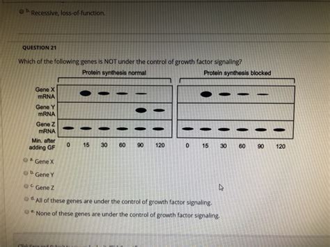Solved B Recessive Loss Of Function Question 21 Which Of